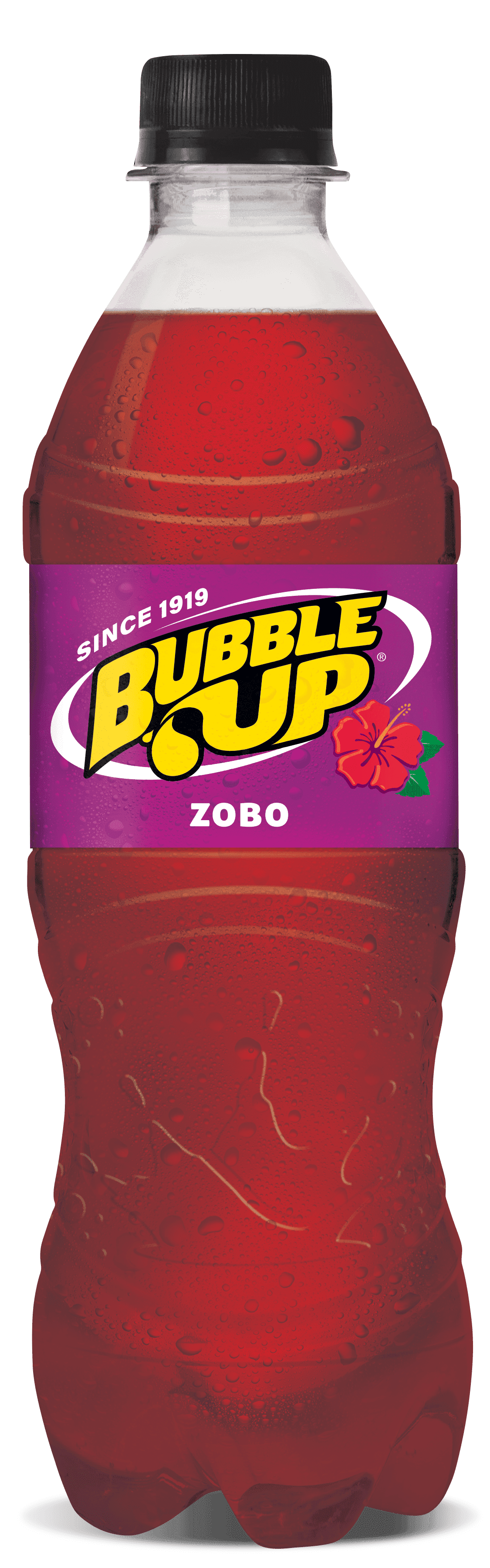 Bubble Up | Monarch