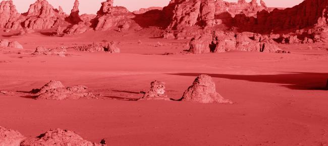 American Cola - Marque de boissons gazeuses - cola premium